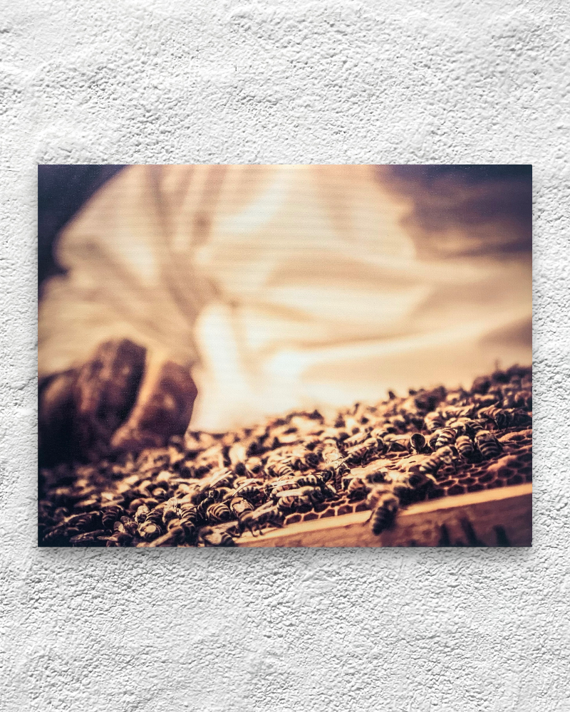 Anthony Jacobsen – Peters Valley Gallery